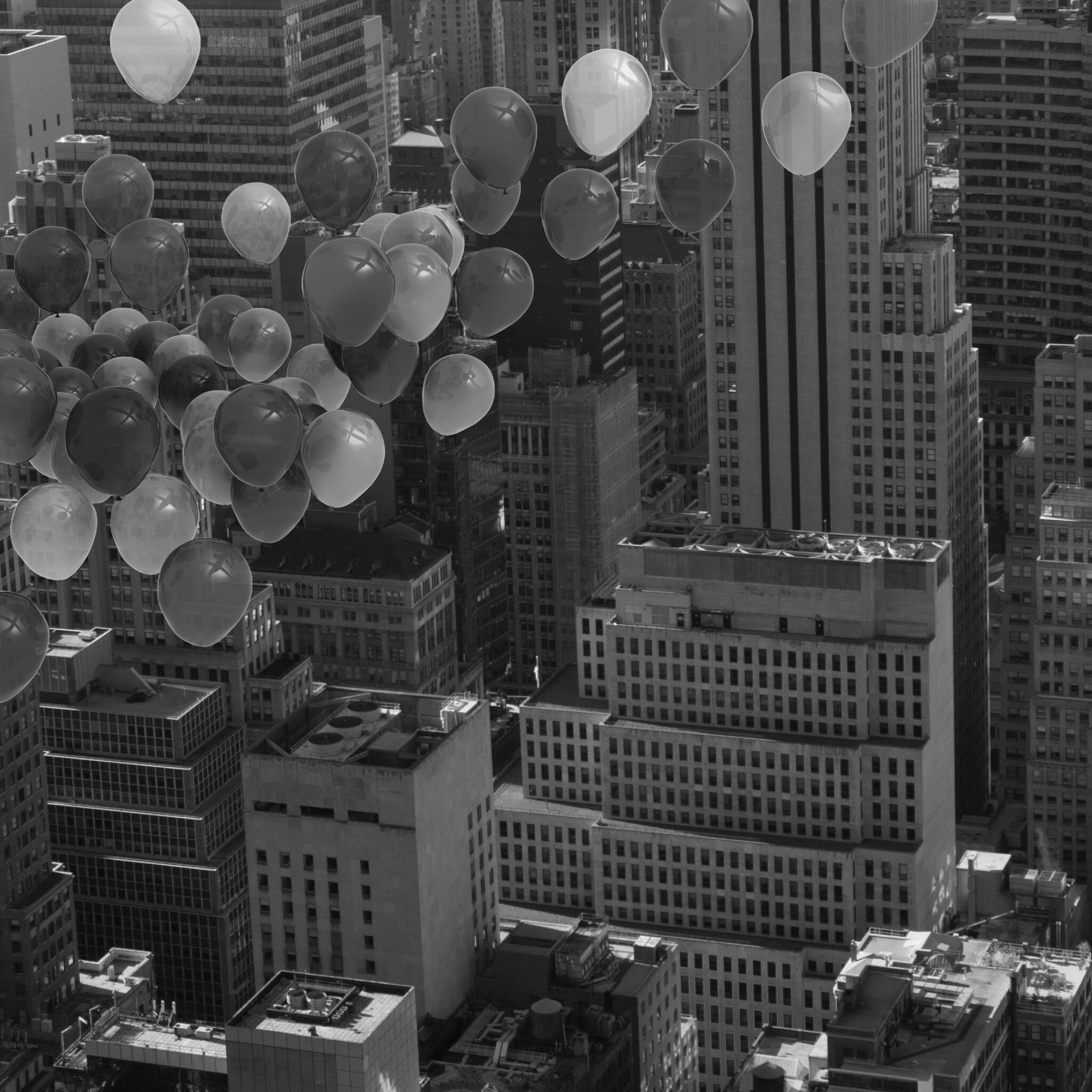 SVAT - Nyheter - Vad händer och vad är på gång hos SVAT